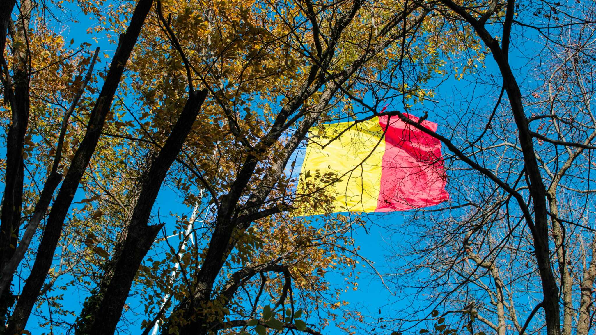 1 Decembrie – O zi a identității, a memoriei și a speranței românilor ...
